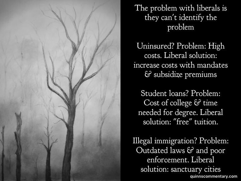 How does one fathom the liberal mindset – QUINNSCOMMENTARY